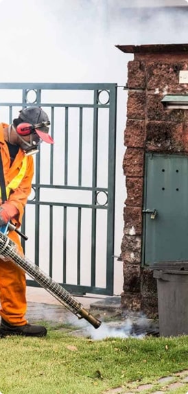 Better Pest control | Termite & Pest Control Services Australia