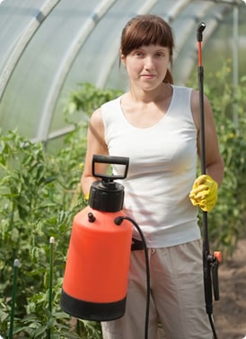 Better Pest control | Termite & Pest Control Services Australia