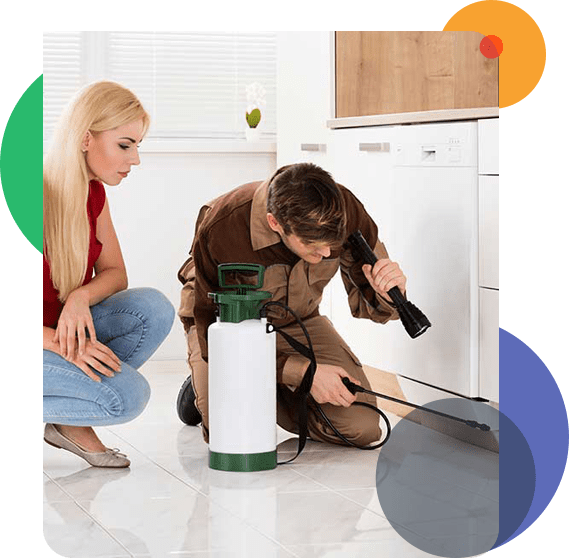 Expert Pest Control Services | Better Pest Control | Call 1300 838 722