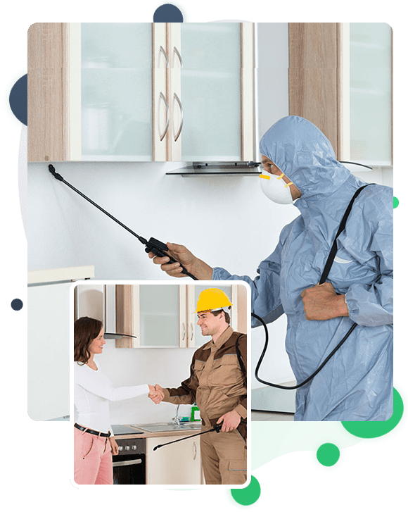 Expert Pest Control Services | Better Pest Control | Call 1300 838 722