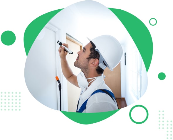 Pest Control Melbourne | Better Pest Control | Get A Quote Today!