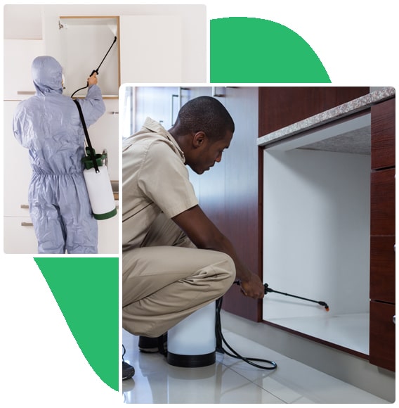 Pest Control Adelaide | Better Pest Control | Call 1300 838 722