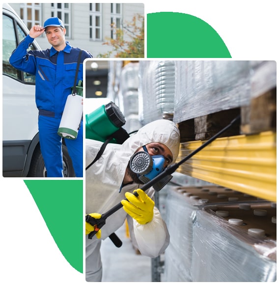 Reliable Pest Control Services Brisbane | Better Pest Control | Get ...