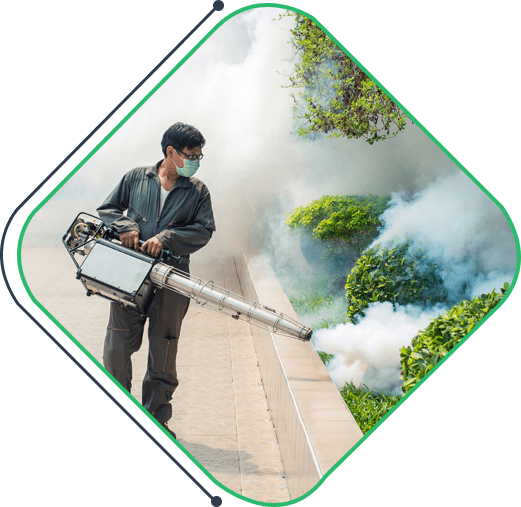 Pest Control Adelaide | Better Pest Control | Call 1300 838 722