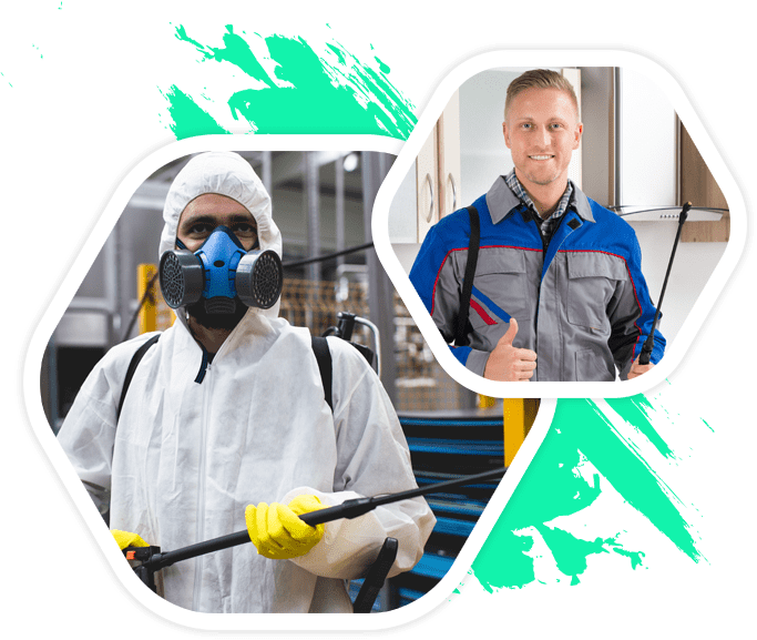 Expert Pest Control Services | Better Pest Control | Call 1300 838 722