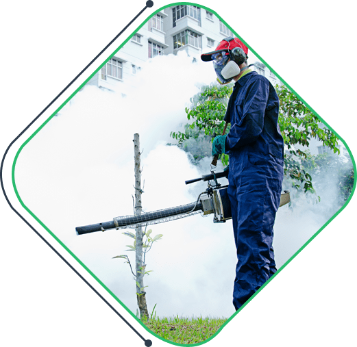 Better Pest Control | Professional Pest Control Canberra | 1300 838 722